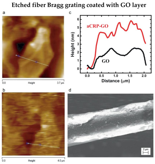 Applications of Optical Fiber in Label-Free Biosensors and Bioimaging ...