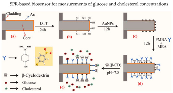 Applications of Optical Fiber in Label-Free Biosensors and Bioimaging ...