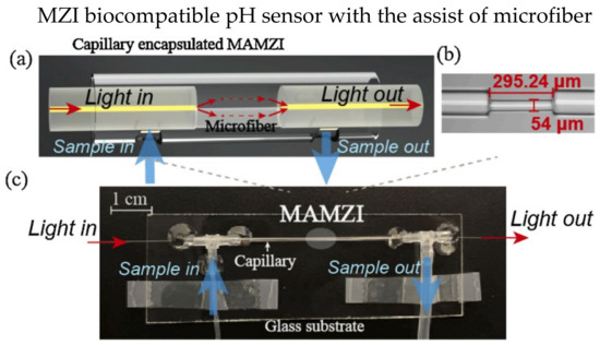 Applications of Optical Fiber in Label-Free Biosensors and Bioimaging ...