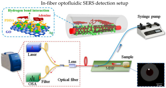 Applications of Optical Fiber in Label-Free Biosensors and Bioimaging ...