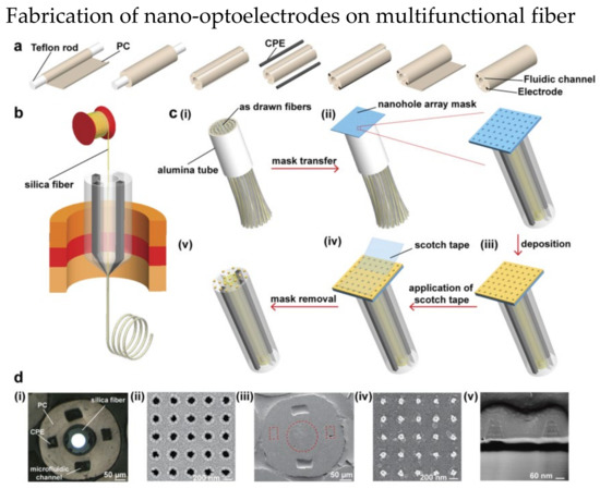 Biosensors | Free Full-Text | Applications of Optical Fiber in Label-Free Biosensors and ...