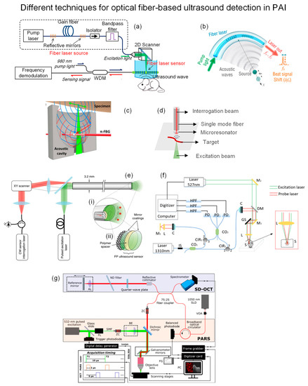 Biosensors | Free Full-Text | Applications of Optical Fiber in Label-Free Biosensors and ...