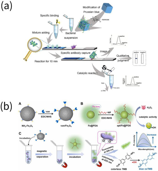 Determination Methods of the Risk Factors in Food Based on Nanozymes: A ...