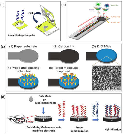 A Review on Microfluidics-Based Impedance Biosensors