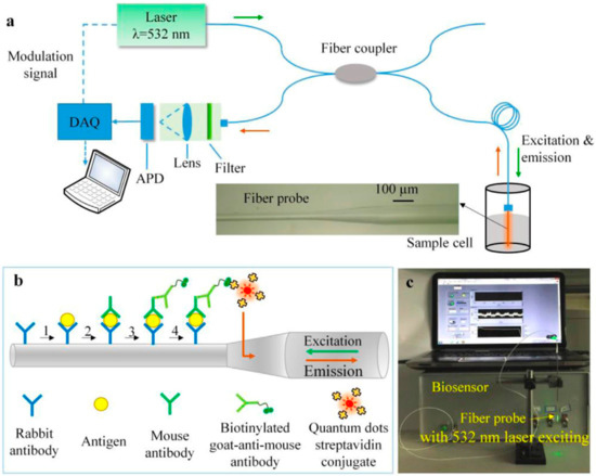 Biosensors | Free Full-Text | Optically Active Nanomaterials and Its ...