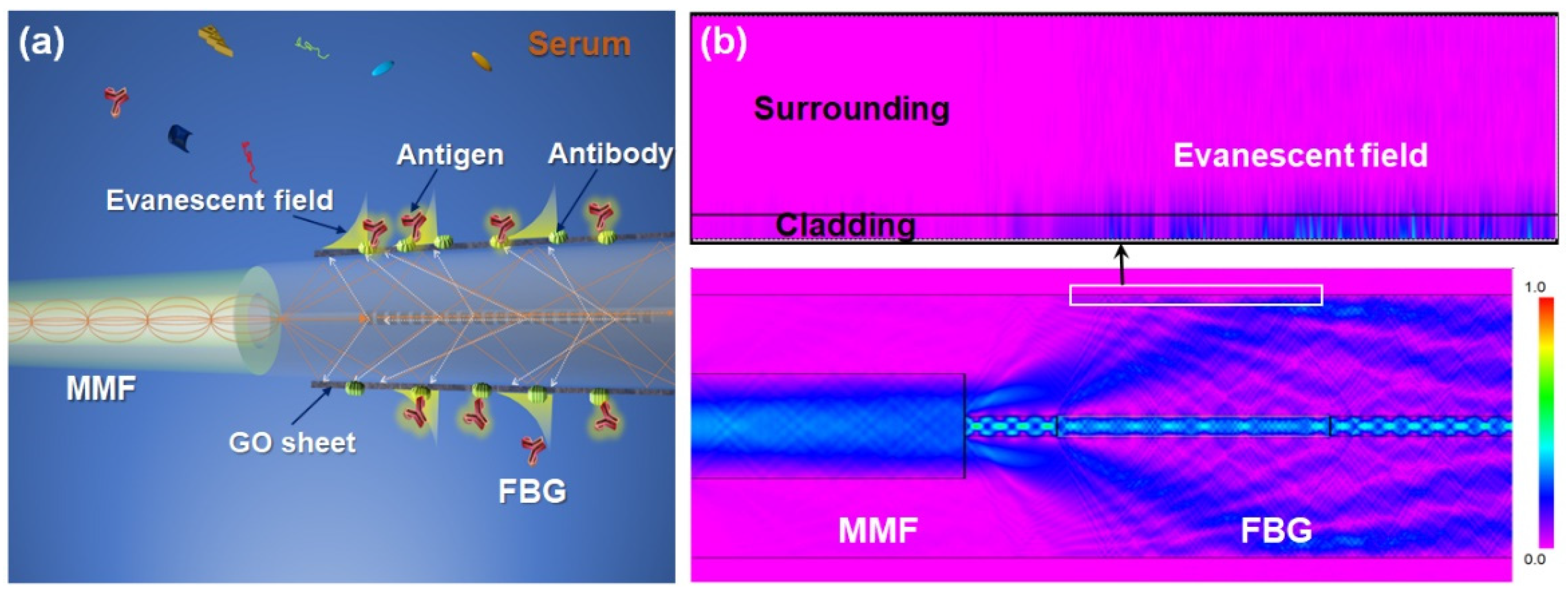 Biosensors | Free Full-Text | A Fiber Bragg Grating Sensor Based on Cladding Mode Resonance for ...
