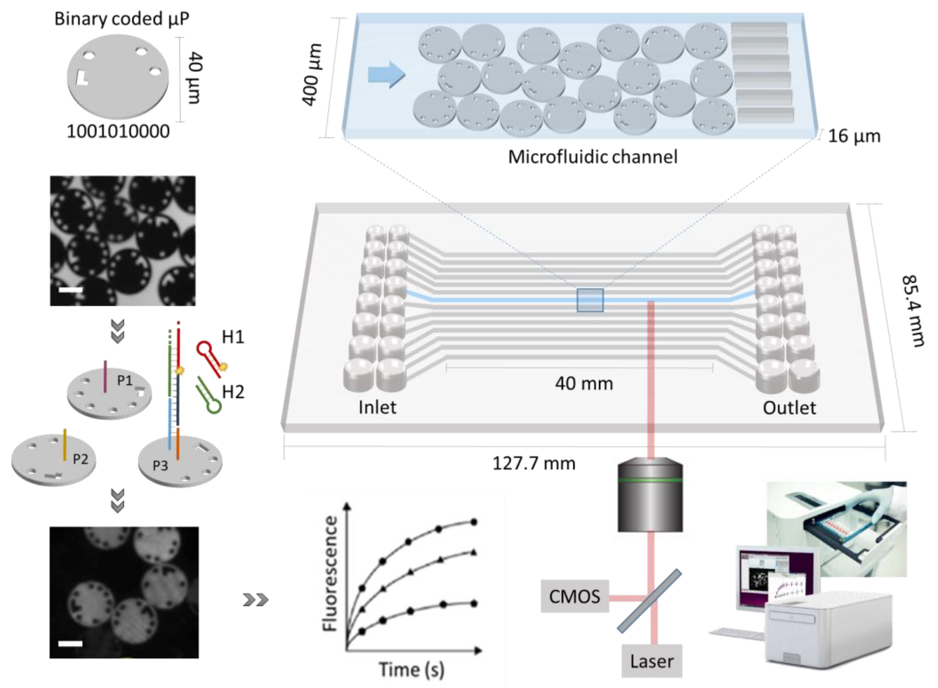 Highly Sensitive Multiplex Detection of Molecular Biomarkers Using Hybridization Chain Reaction ...