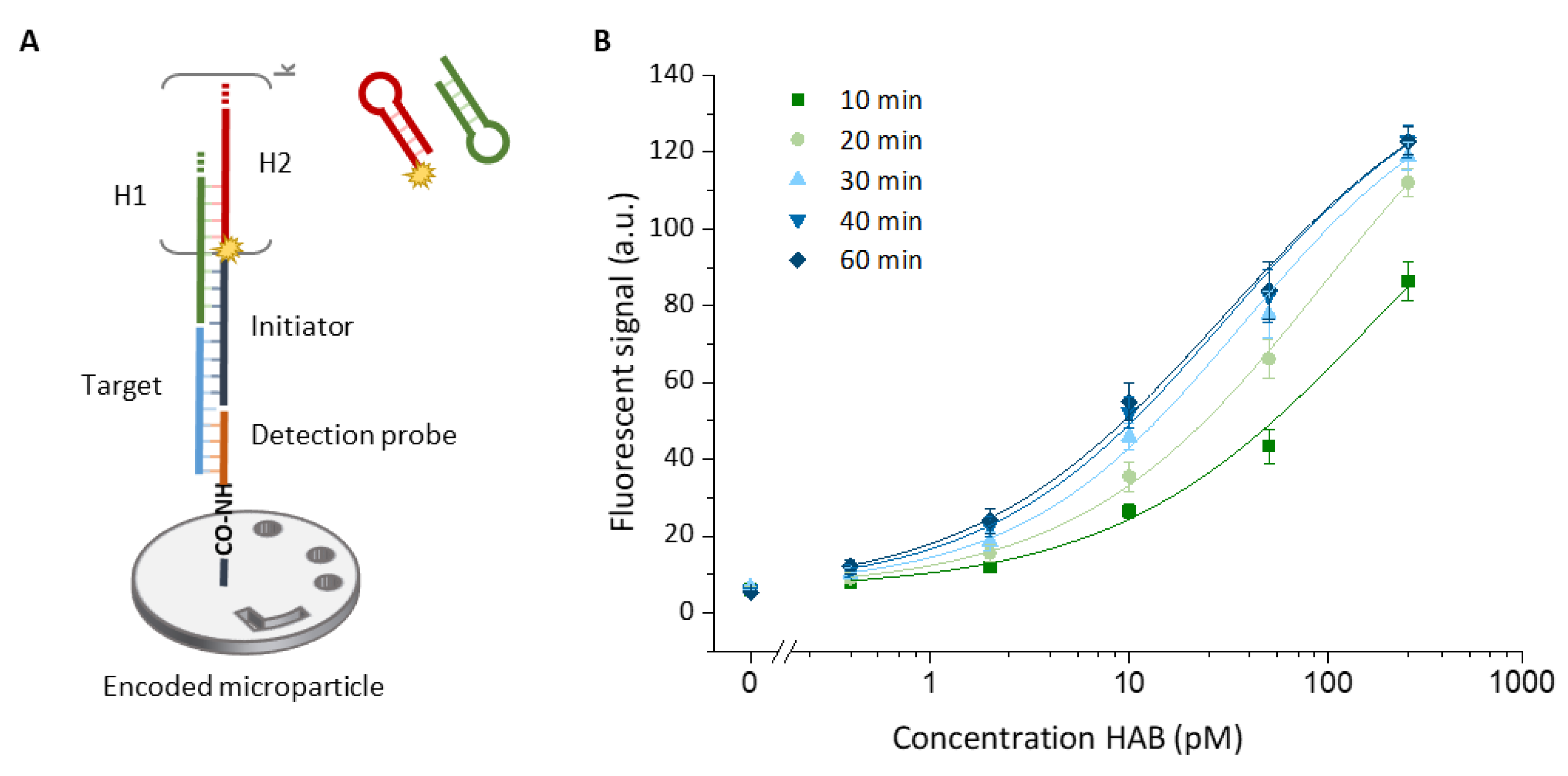Highly Sensitive Multiplex Detection of Molecular Biomarkers Using Hybridization Chain Reaction ...