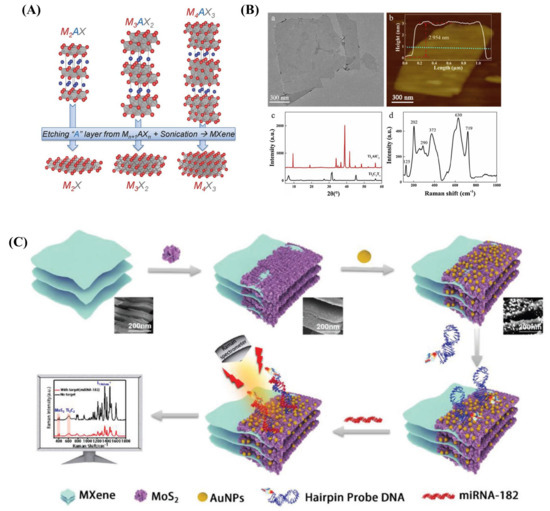 Engineered Two-Dimensional Nanostructures as SERS Substrates for ...