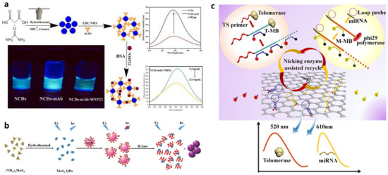 Recent Progress in Nanomaterial-Based Biosensors and Theranostic ...