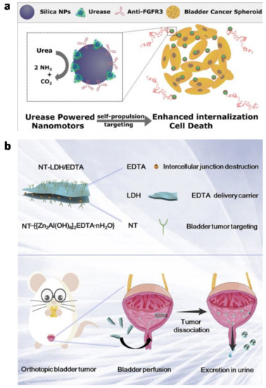 Recent Progress in Nanomaterial-Based Biosensors and Theranostic ...