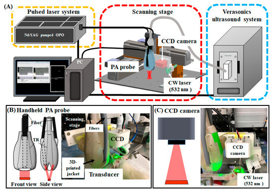 Visible CCD Camera-Guided Photoacoustic Imaging System for Precise ...