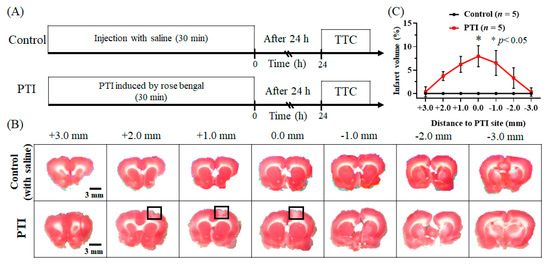 Visible CCD Camera-Guided Photoacoustic Imaging System for Precise ...