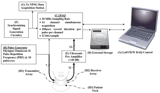In Situ Investigation of Upper Airway Occlusion in Sleep Disordered Breathing Using Ultrasonic ...