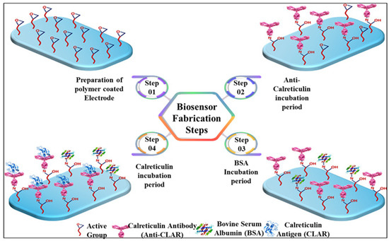 Recent Advances in Electrochemical Immunosensors with Nanomaterial Assistance for Signal ...