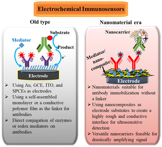 Recent Advances in Electrochemical Immunosensors with Nanomaterial Assistance for Signal ...