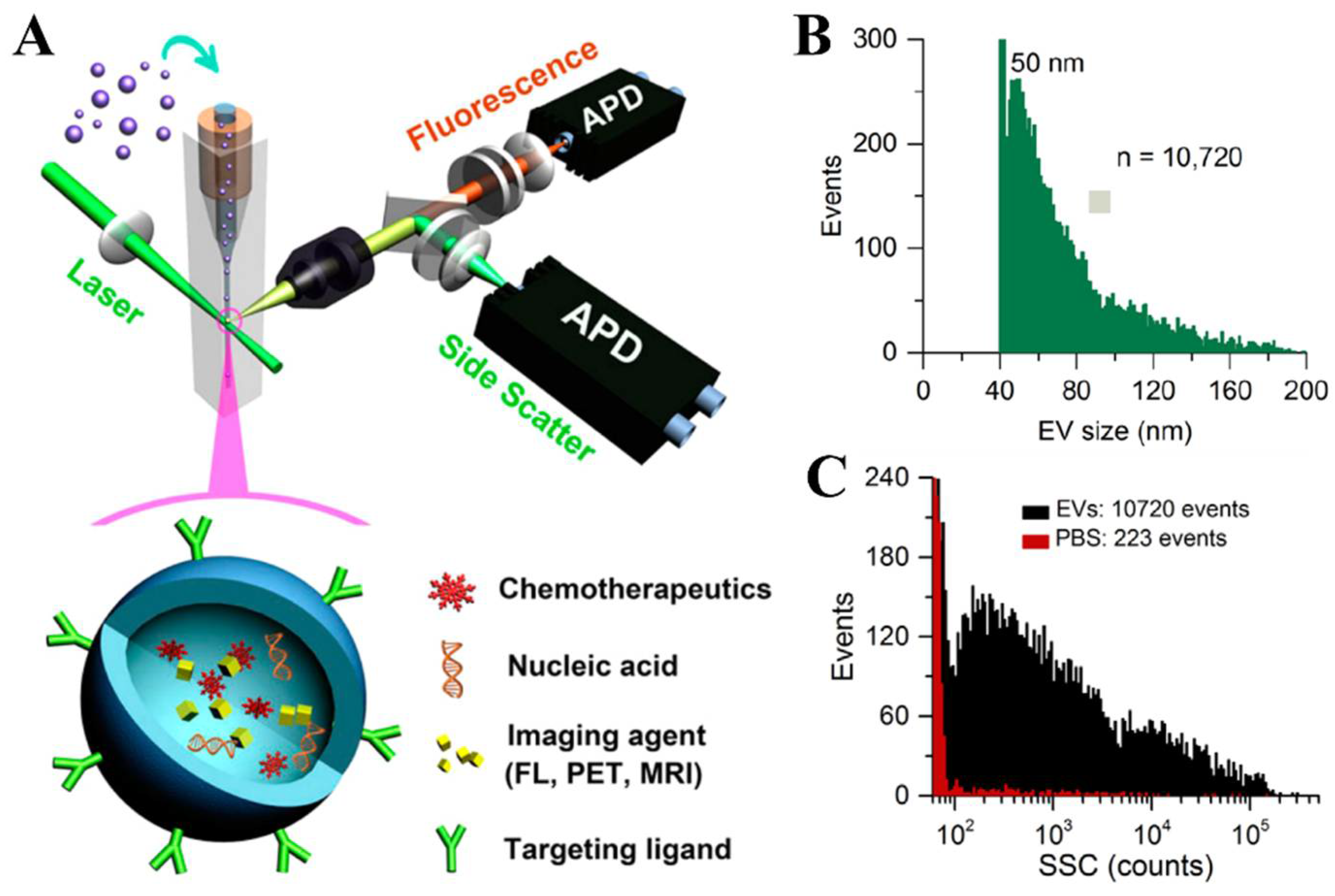 Current Advances in Technologies for Single Extracellular Vesicle Analysis and Its Clinical ...