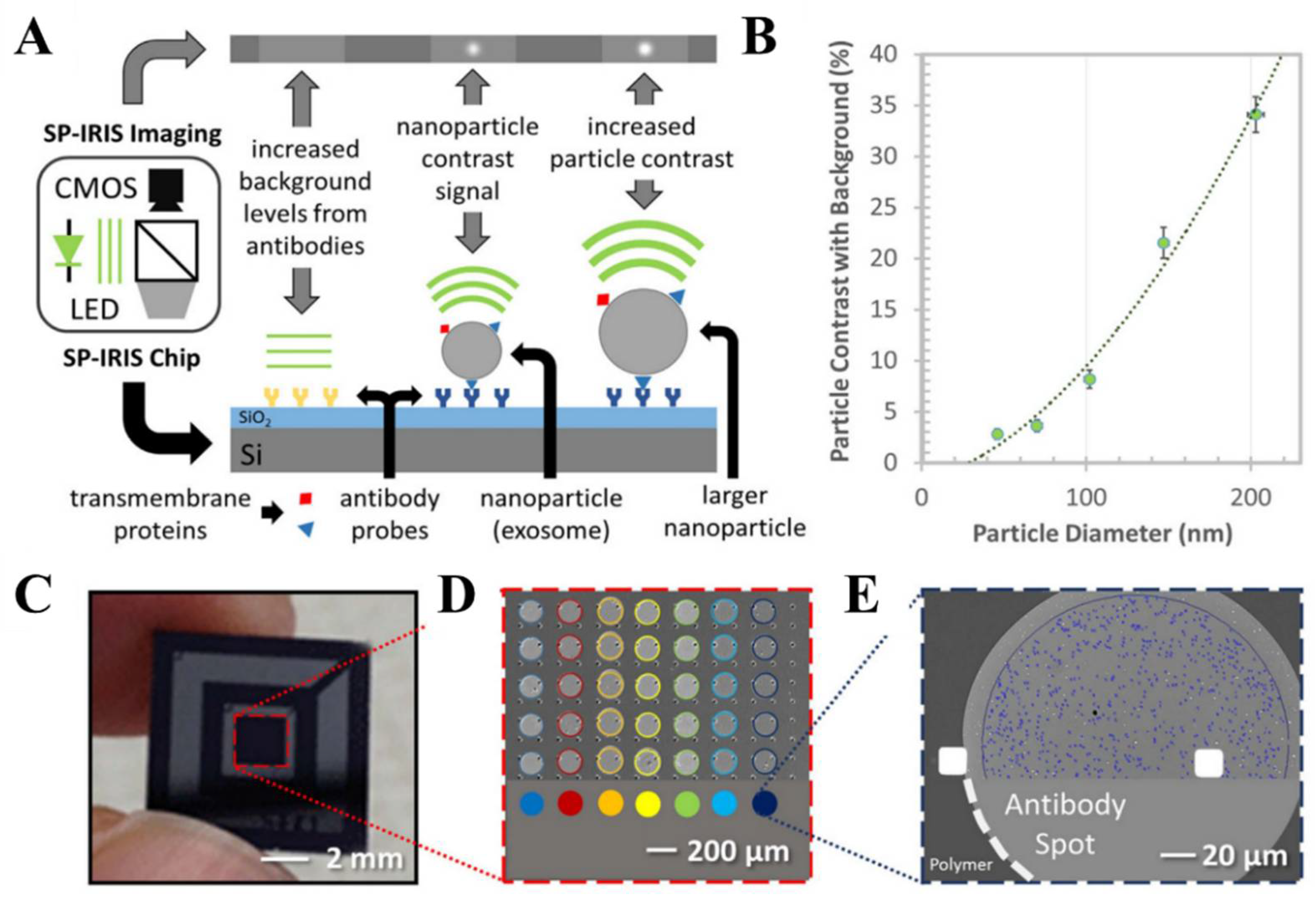 Current Advances in Technologies for Single Extracellular Vesicle Analysis and Its Clinical ...