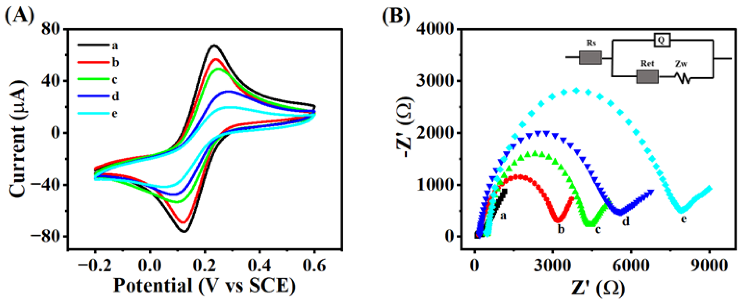 Biosensors | Free Full-Text | Sandwich-Type Electrochemiluminescence ...