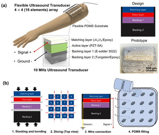 Development of a Wearable Ultrasound Transducer for Sensing Muscle Activities in Assistive ...