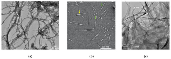 Review of Bacterial Nanocellulose-Based Electrochemical Biosensors ...