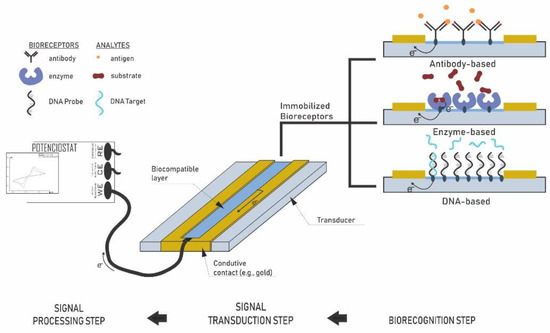 Review of Bacterial Nanocellulose-Based Electrochemical Biosensors ...