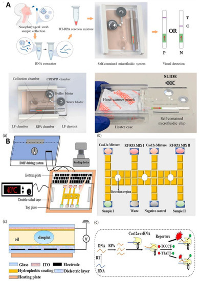 Microfluidics for COVID-19: From Current Work to Future Perspective