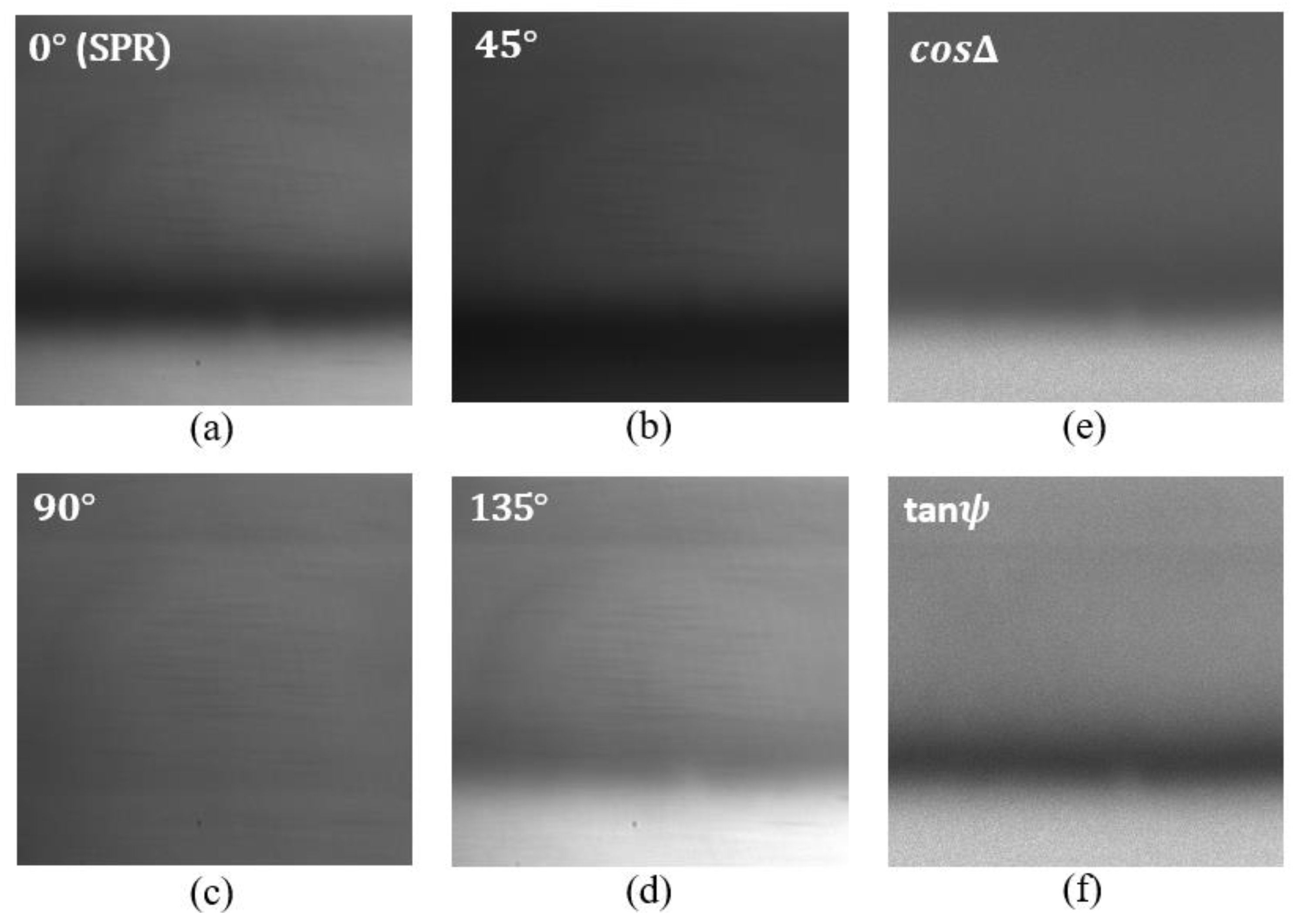 Real-Time Ellipsometric Surface Plasmon Resonance Sensor Using ...