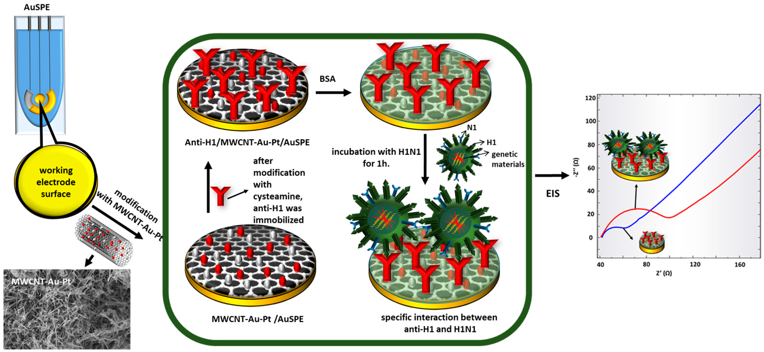 Electro-Nano Diagnostic Platform Based on Antibody–Antigen Interaction ...