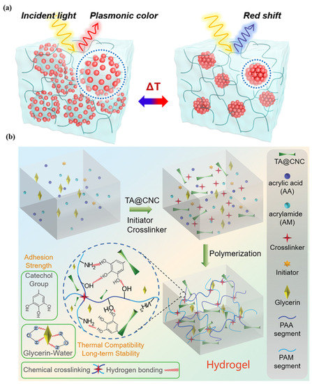 Novel Wearable Optical Sensors for Vital Health Monitoring Systems—A Review