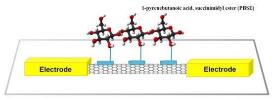 Biosensors | Free Full-Text | Carbon Nanotube-Based Biosensors Using ...
