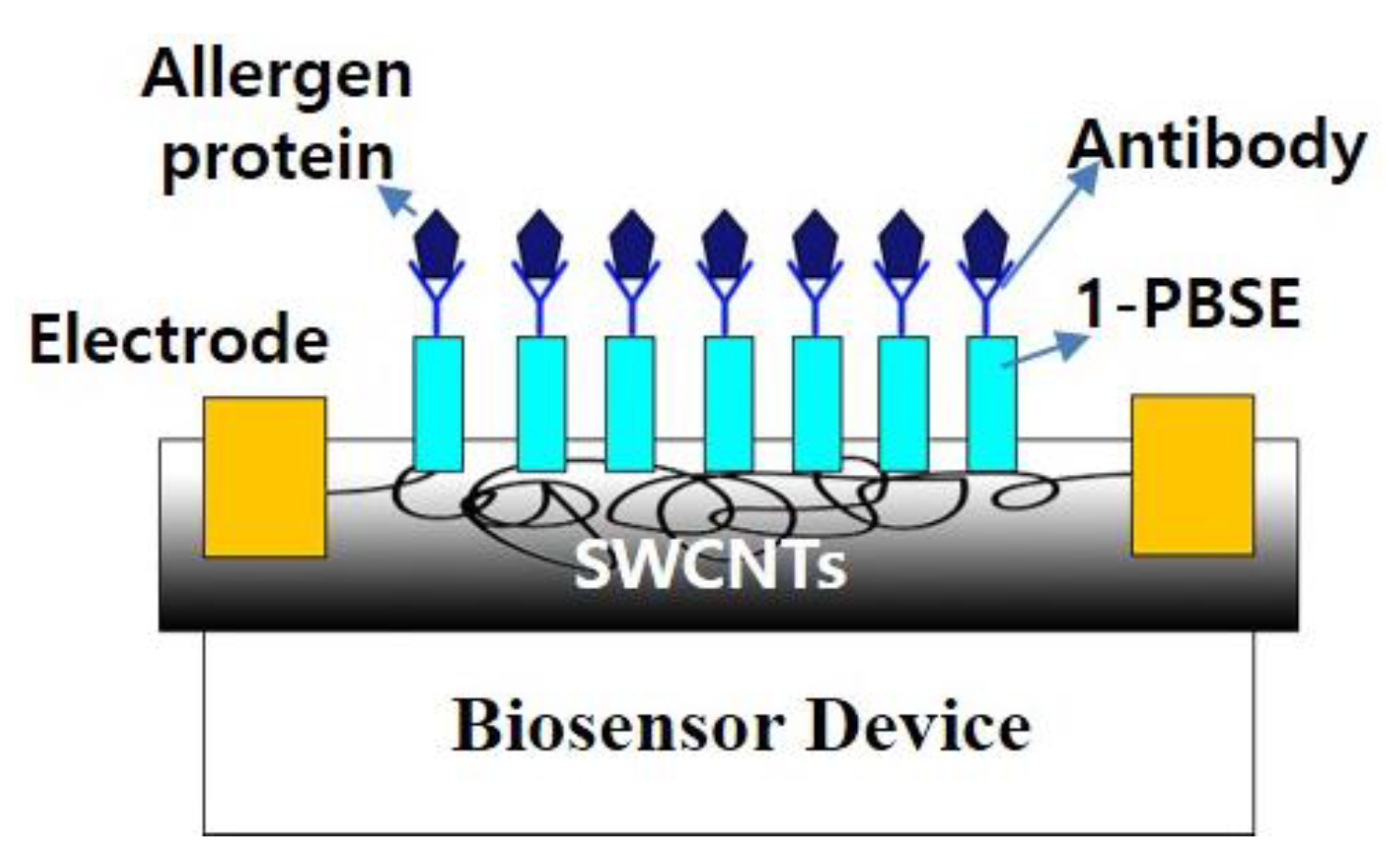 Biosensors | Free Full-Text | Carbon Nanotube-Based Biosensors Using ...