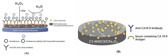 Biosensors | Free Full-Text | Carbon Nanotube-Based Biosensors Using ...