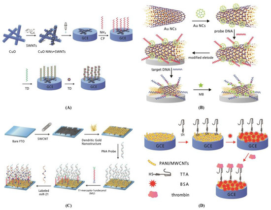 Biosensors | Free Full-Text | Carbon Nanotube-Based Biosensors Using ...