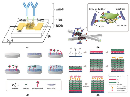 Biosensors | Free Full-Text | Carbon Nanotube-Based Biosensors Using Fusion Technologies with ...