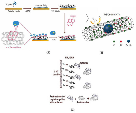Biosensors | Free Full-Text | Carbon Nanotube-Based Biosensors Using ...