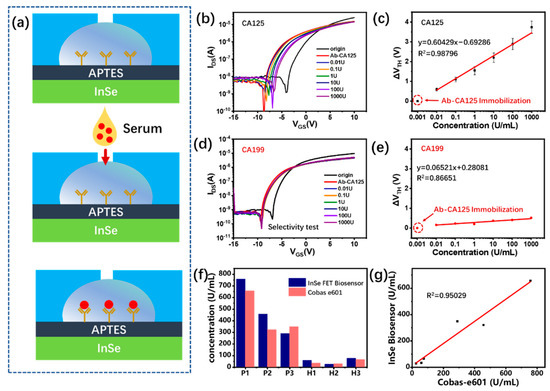 Highly Stable InSe-FET Biosensor for Ultra-Sensitive Detection of ...