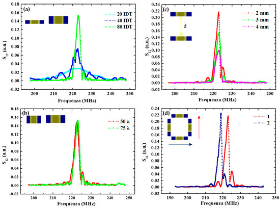 Optimization of SAW Sensors for Nanoplastics and Grapevine Virus Detection