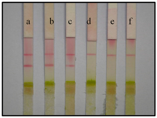 A Monoclonal Antibody-Based Immunochromatographic Test Strip and Its ...
