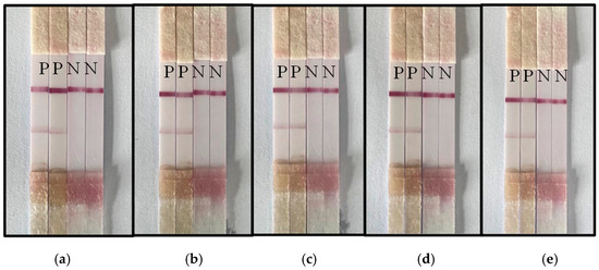 A Monoclonal Antibody-Based Immunochromatographic Test Strip and Its ...