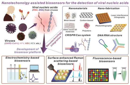 Nanotechnology-Assisted Biosensors for the Detection of Viral Nucleic Acids: An Overview
