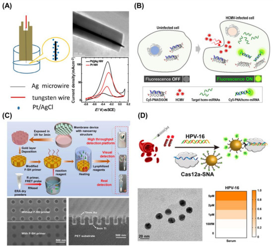 Nanotechnology-Assisted Biosensors for the Detection of Viral Nucleic ...