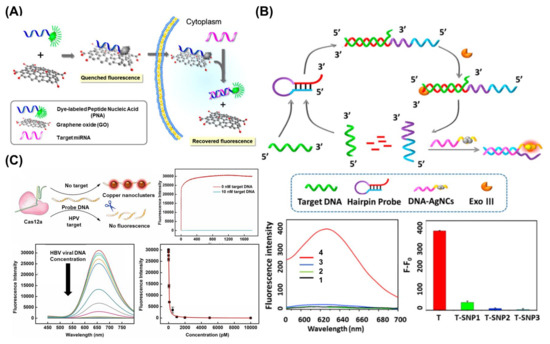 Nanotechnology-Assisted Biosensors for the Detection of Viral Nucleic ...