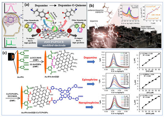 Biosensors | Free Full-Text | Advanced Nanomaterials-Based Electrochemical Biosensors for ...
