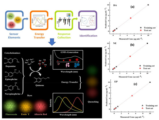 Biosensors | Free Full-Text | Advanced Nanomaterials-Based Electrochemical Biosensors for ...