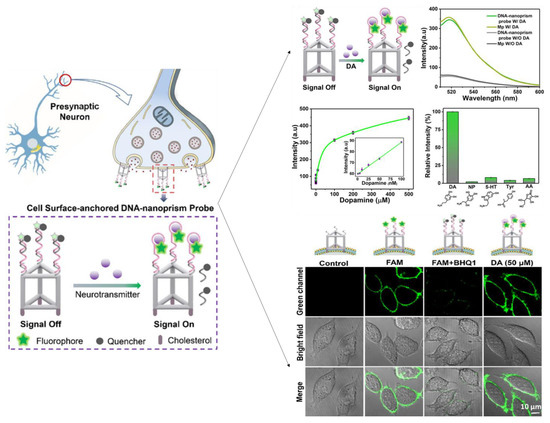 Biosensors | Free Full-Text | Advanced Nanomaterials-Based Electrochemical Biosensors for ...