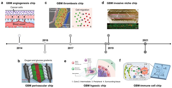 In Vitro Tumor Models on Chip and Integrated Microphysiological ...