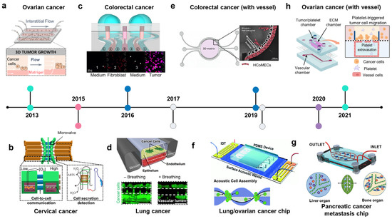 Biosensors | Free Full-Text | In Vitro Tumor Models on Chip and ...