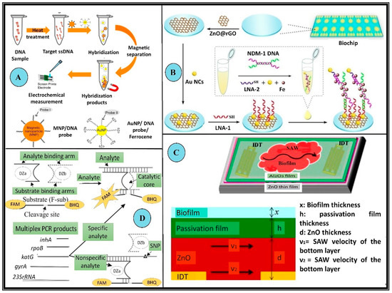 Engineered Biosensors for Diagnosing Multidrug Resistance in Microbial ...