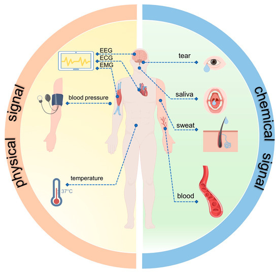 Self-Powered Biosensors for Monitoring Human Physiological Changes